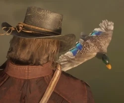 Mallard Duck - Red Dead Redemption 2 Wiki