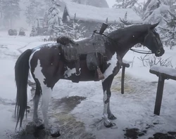 Tennessee Walker - Red Dead Redemption 2 Wiki