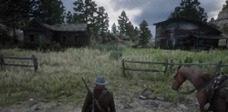 Firwood Rise - Red Dead Redemption 2 Wiki