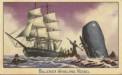 Balener Whaling Vessel (No. 9) - Red Dead Redemption 2 Wiki