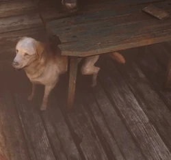 Labrador Retriever - Red Dead Redemption 2 Wiki