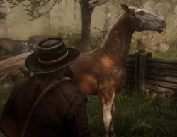 Nell II - Red Dead Redemption 2 Wiki