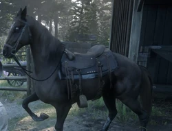 Jeremiah - Red Dead Redemption 2 Wiki