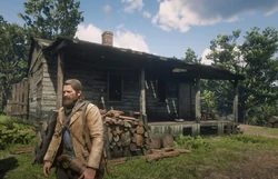 Lonnie's Shack - Red Dead Redemption 2 Wiki