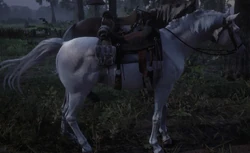 The Count - Red Dead Redemption 2 Wiki