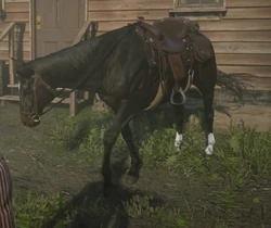 Rachel - Red Dead Redemption 2 Wiki