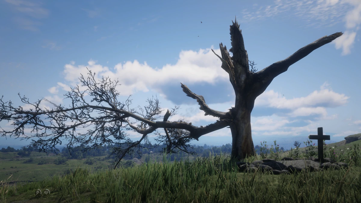 Arbre tordu | Red Dead Wiki | Fandom