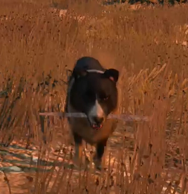 Perro | Red Dead Wiki | Fandom