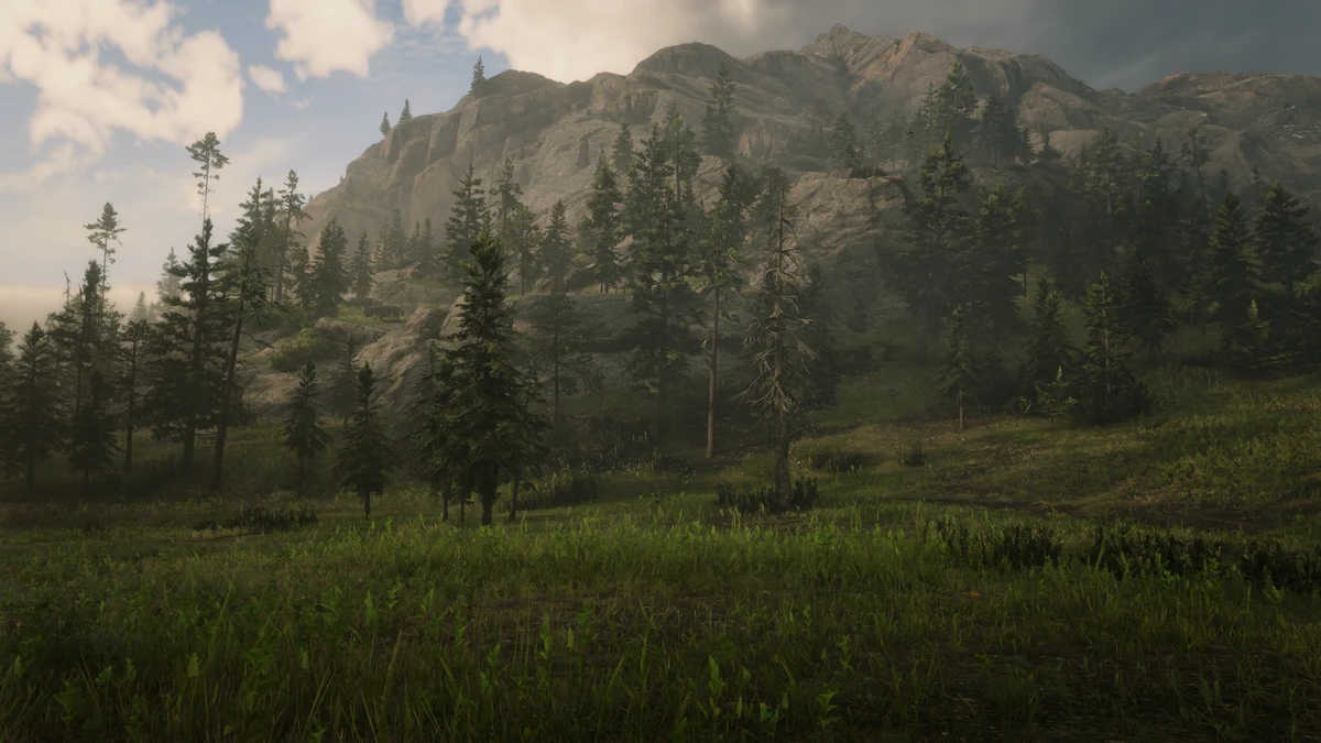 Valley View | Red Dead Wiki | Fandom