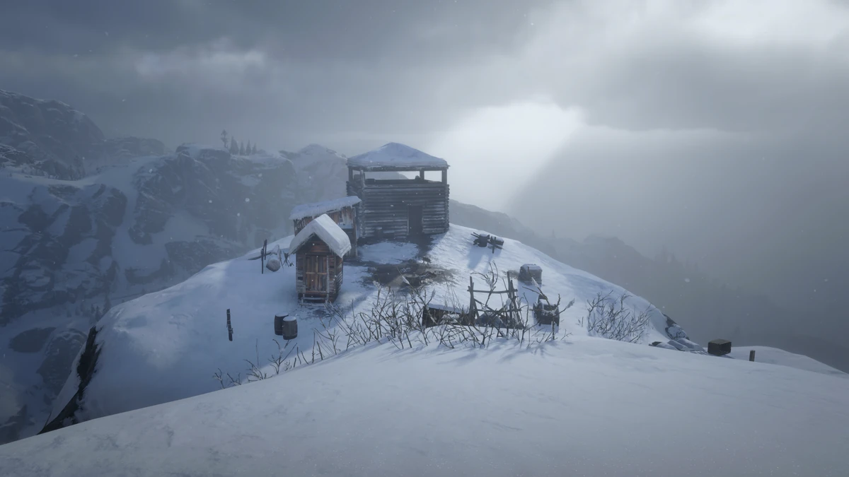 Micah's Hideout | Red Dead Wiki | Fandom