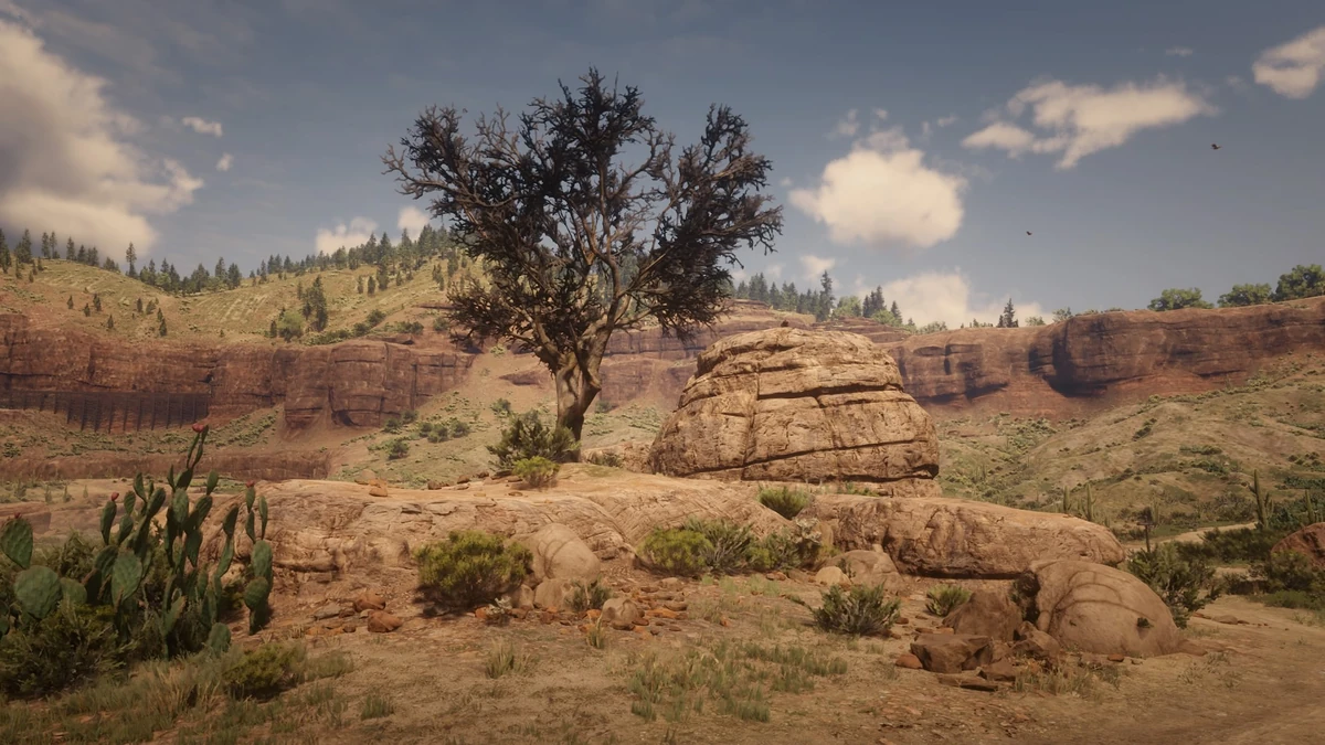 The Hanging Rock | Red Dead Wiki | Fandom