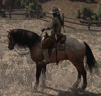 Painted Standardbred | Red Dead Wiki | Fandom