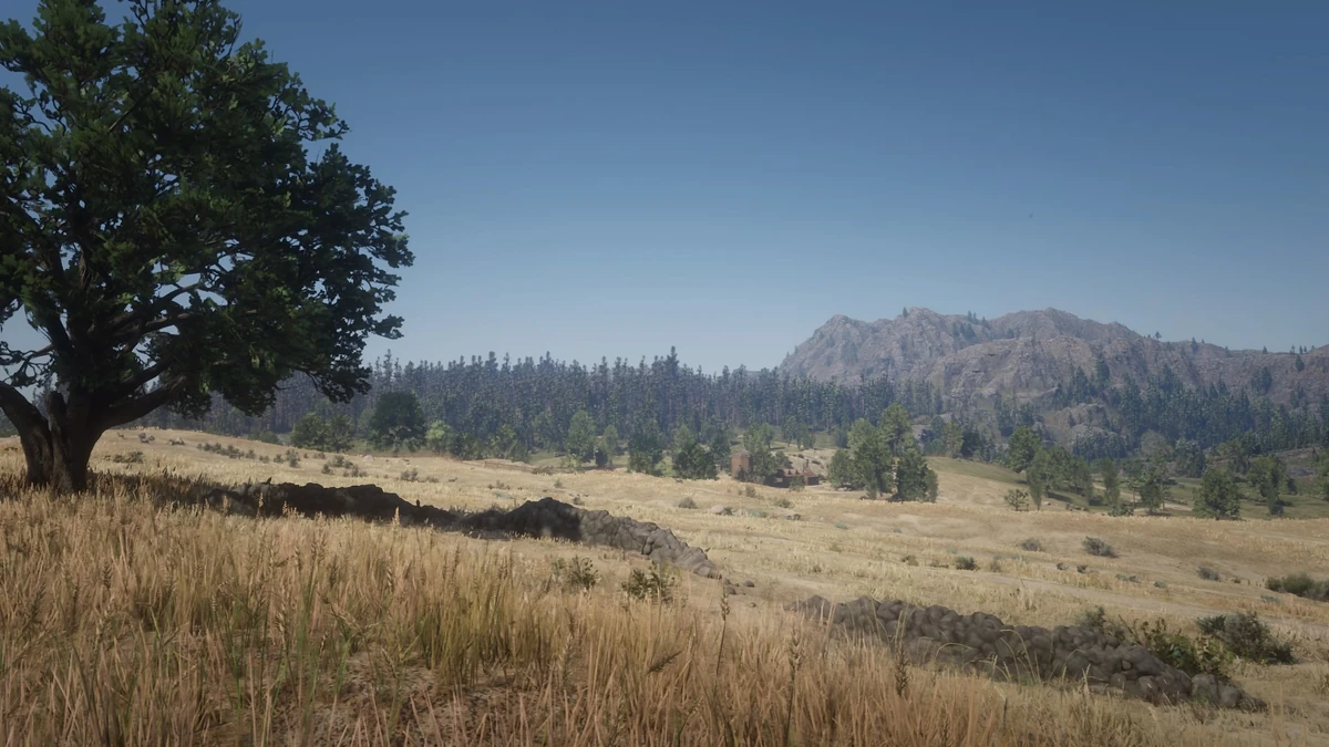 Broken Tree | Red Dead Wiki | Fandom