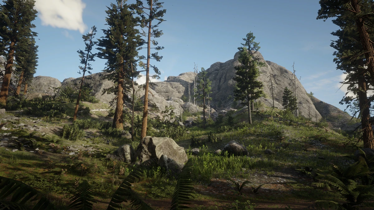 Nekoti Rock | Red Dead Wiki | Fandom