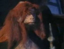 GELF Chief | Tongue Tied | Fandom