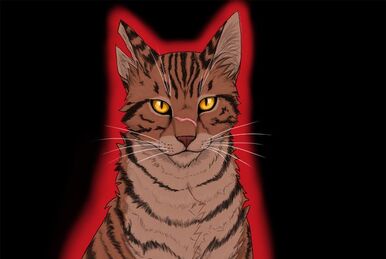 What Breed Is Tigerstar