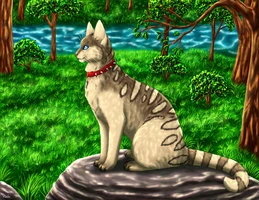 Princess | Reddy Wiki | Fandom