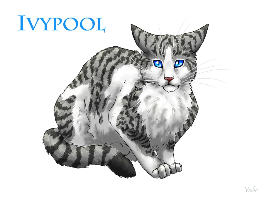 Ivypool | Reddy Wiki | Fandom