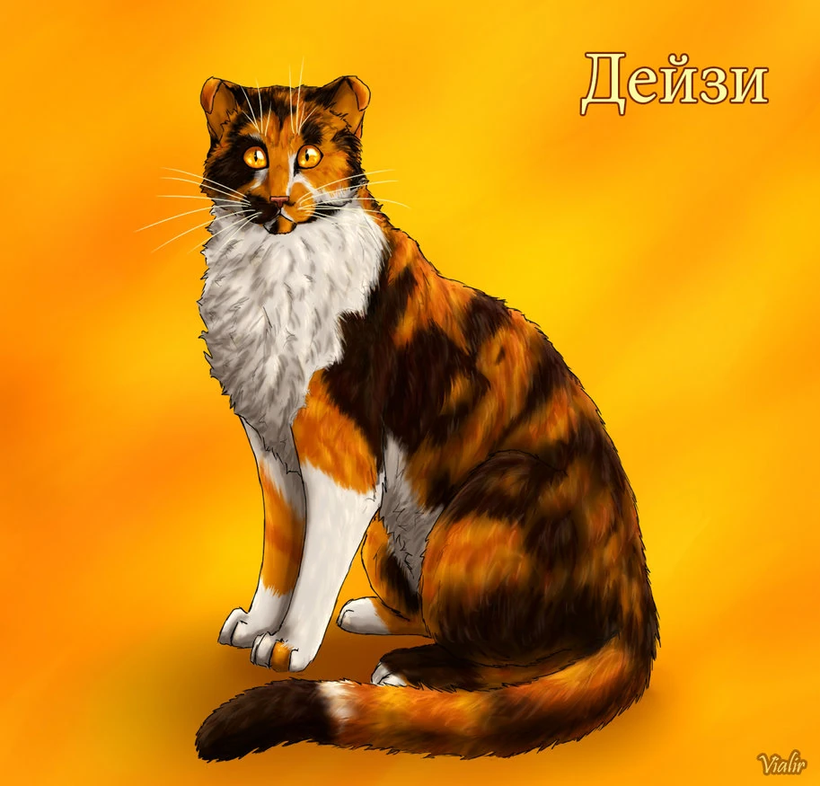 Bumble (Cat) | Reddy Wiki | Fandom