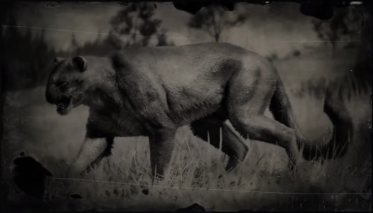 Puma (RDR2) | Red Dead Wiki | Fandom