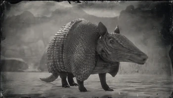 Armadillo a nove fasce | Red Dead Wiki | Fandom