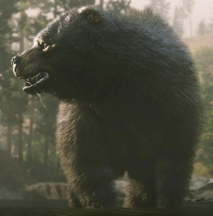 Grizzly | Red Dead Wiki | Fandom