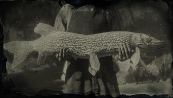 Luccio | Red Dead Wiki | Fandom