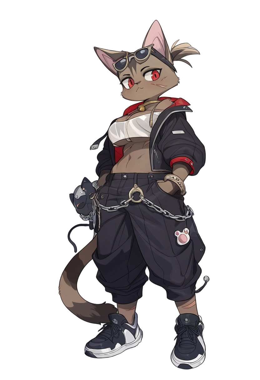 Ruins cat | Redemptions Keep Wiki | Fandom