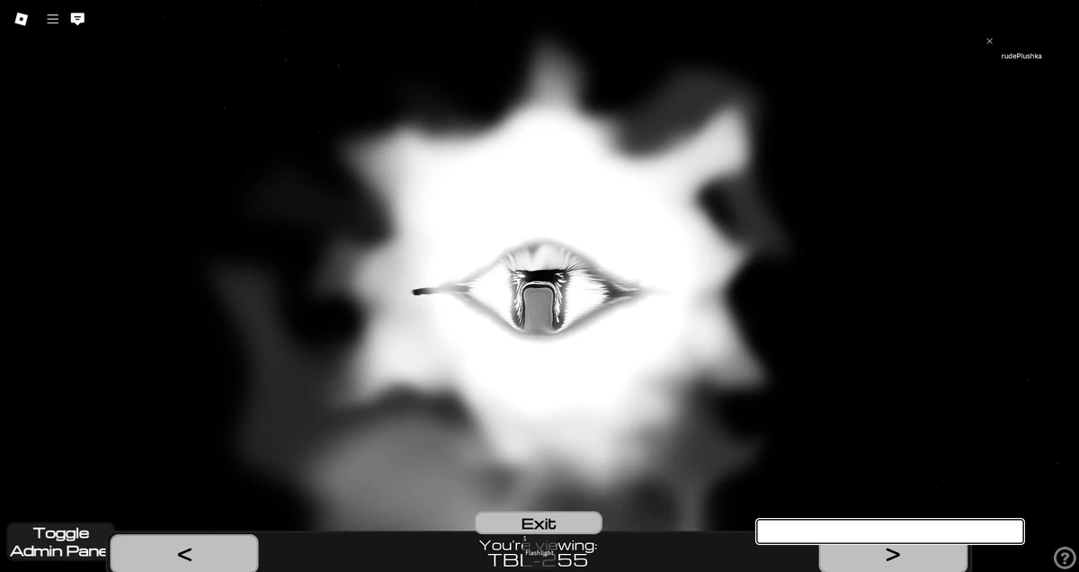 A-255 | Redetermined Rooms Wiki | Fandom