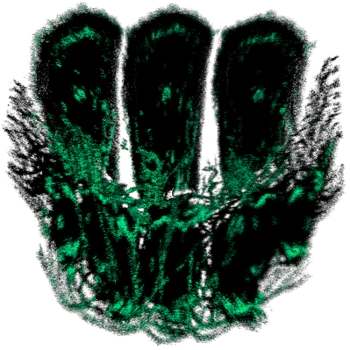 A-430 (The Screaming Mutant) | Redetermined Rooms Wiki | Fandom