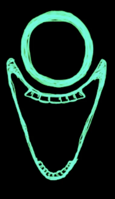 SC-25 | Redetermined Rooms Wiki | Fandom