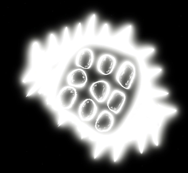 Bisbo | Redetermined Rooms Wiki | Fandom