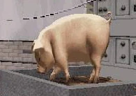 Category:Animals | Redneck Rampage Wiki | Fandom