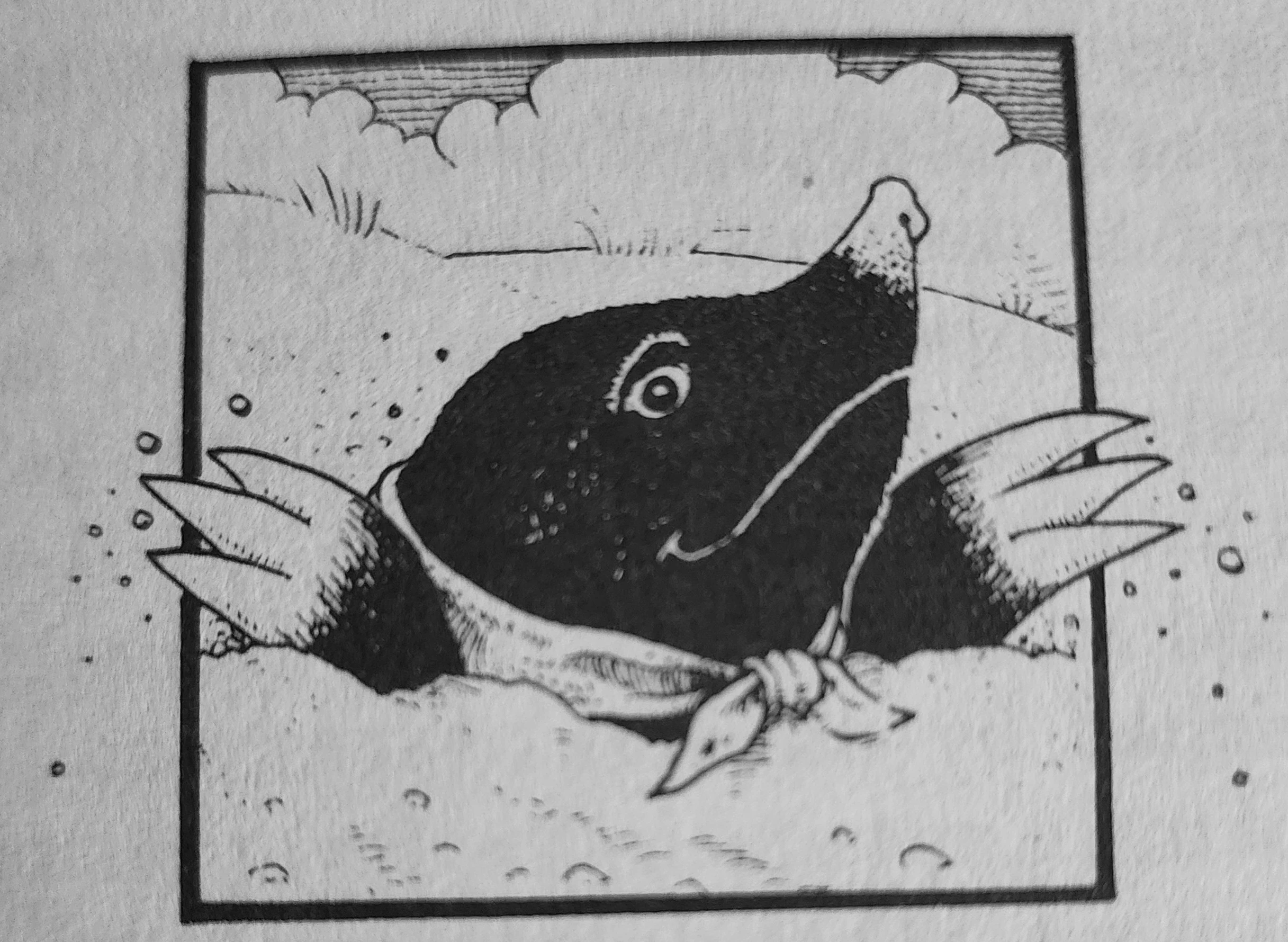 Grumm Trencher | Redwall Wiki | Brian Jacques and Redwall Information ...