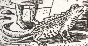 Firl | Redwall Wiki | Brian Jacques and Redwall Information | Fandom