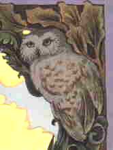 Captain Snow | Redwall Wiki | Brian Jacques and Redwall Information ...