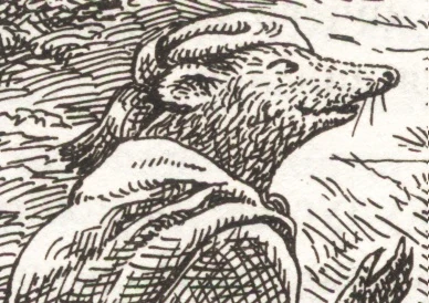 Groo | Redwall Wiki | Brian Jacques and Redwall Information | Fandom