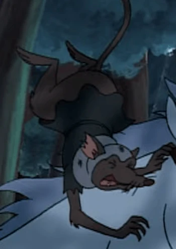 Skullface | Redwall Wiki | Brian Jacques and Redwall Information | Fandom