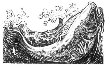 Category:Fish | Redwall Wiki | Brian Jacques and Redwall Information ...