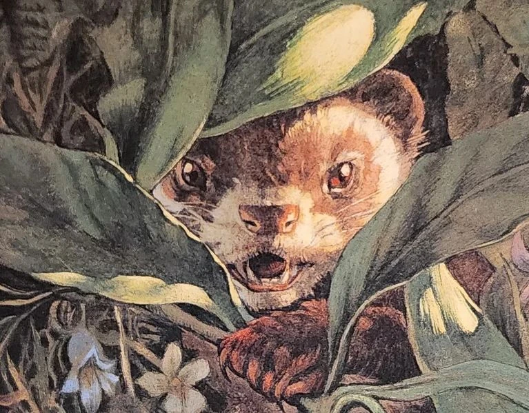 Veil Sixclaw | Redwall Wiki | Brian Jacques and Redwall Information ...