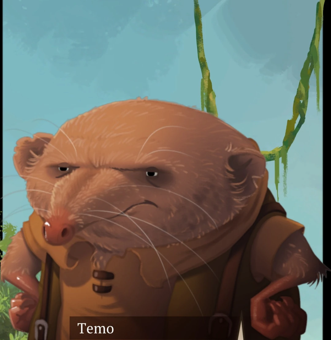 Temo | Redwall Wiki | Brian Jacques and Redwall Information | Fandom