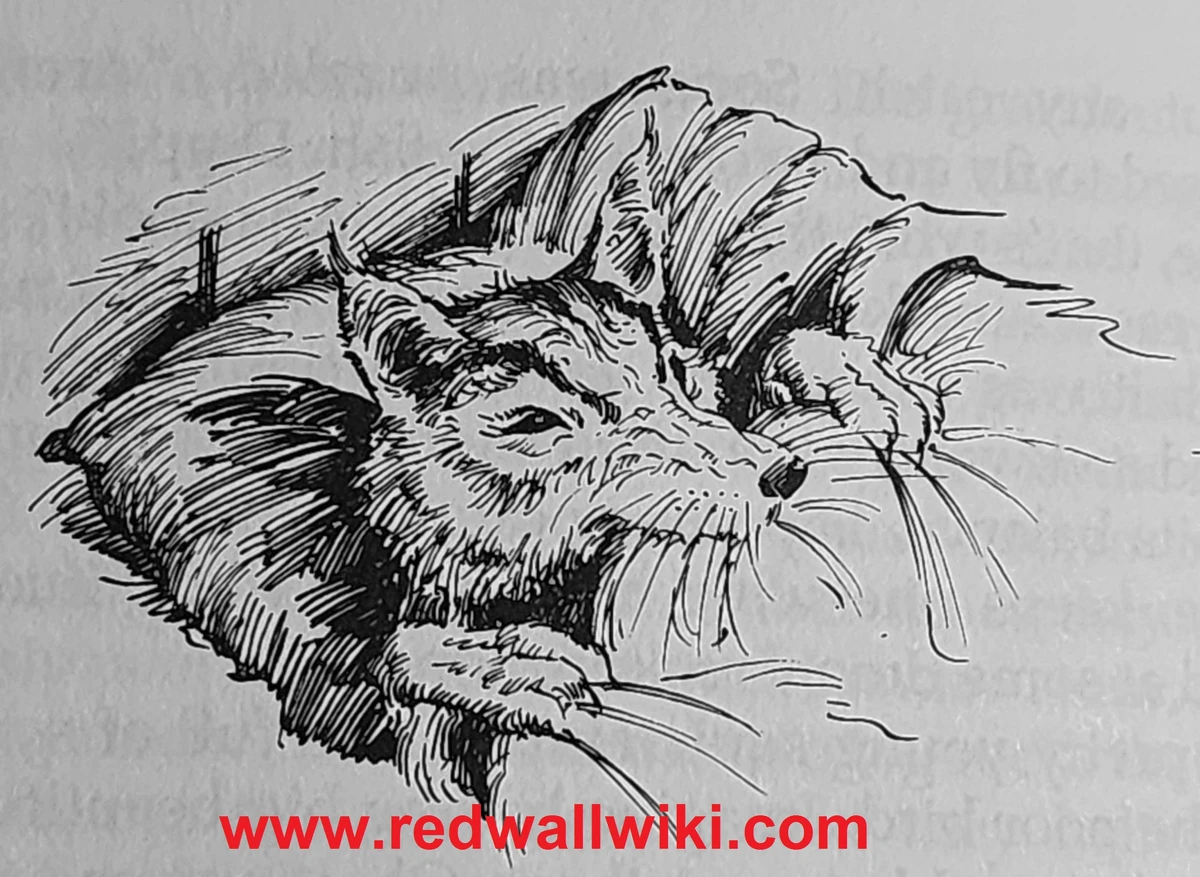 Silth | Redwall Wiki | Brian Jacques and Redwall Information | Fandom