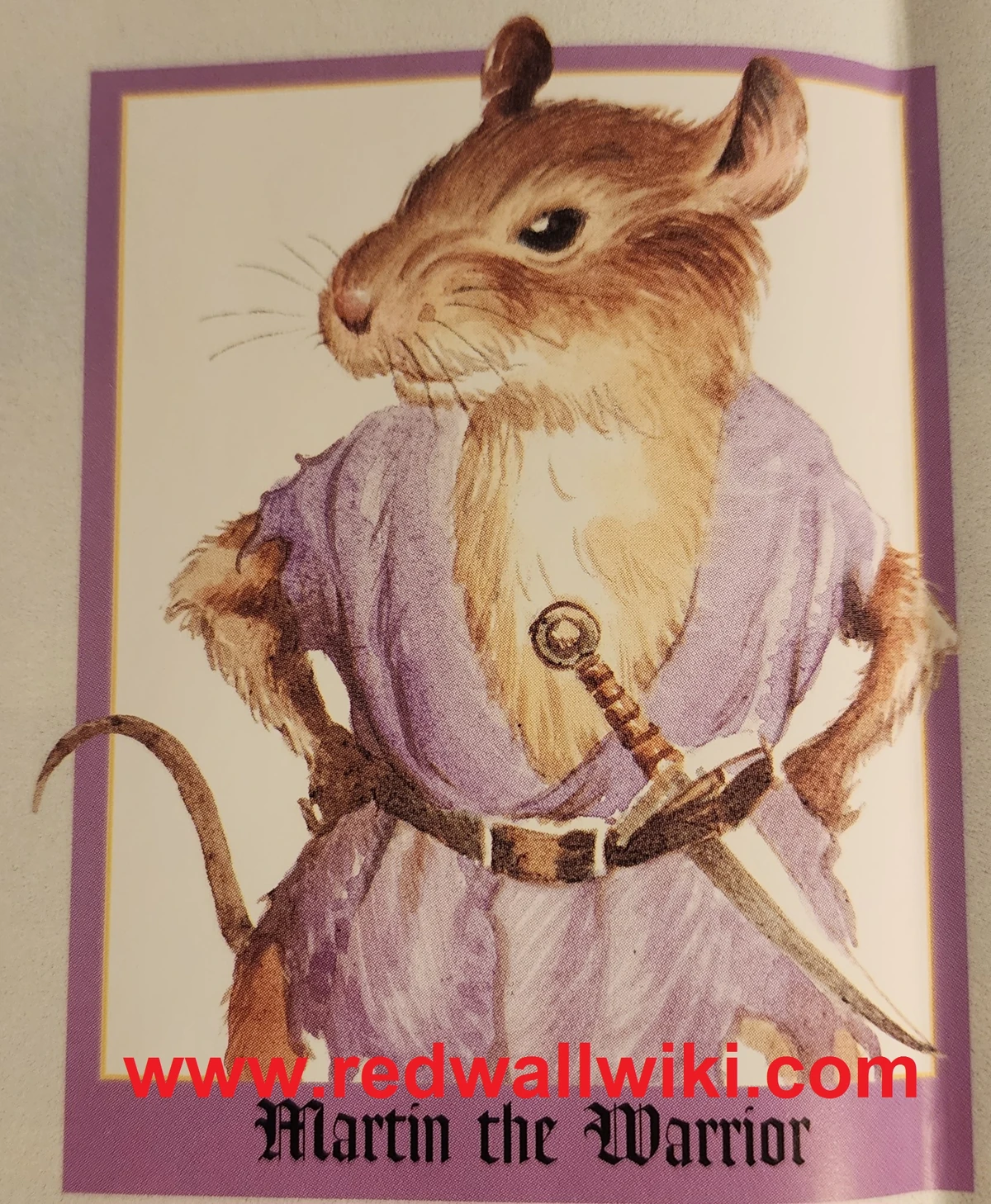 Category:Characters | Redwall Wiki | Brian Jacques and Redwall Information | Fandom