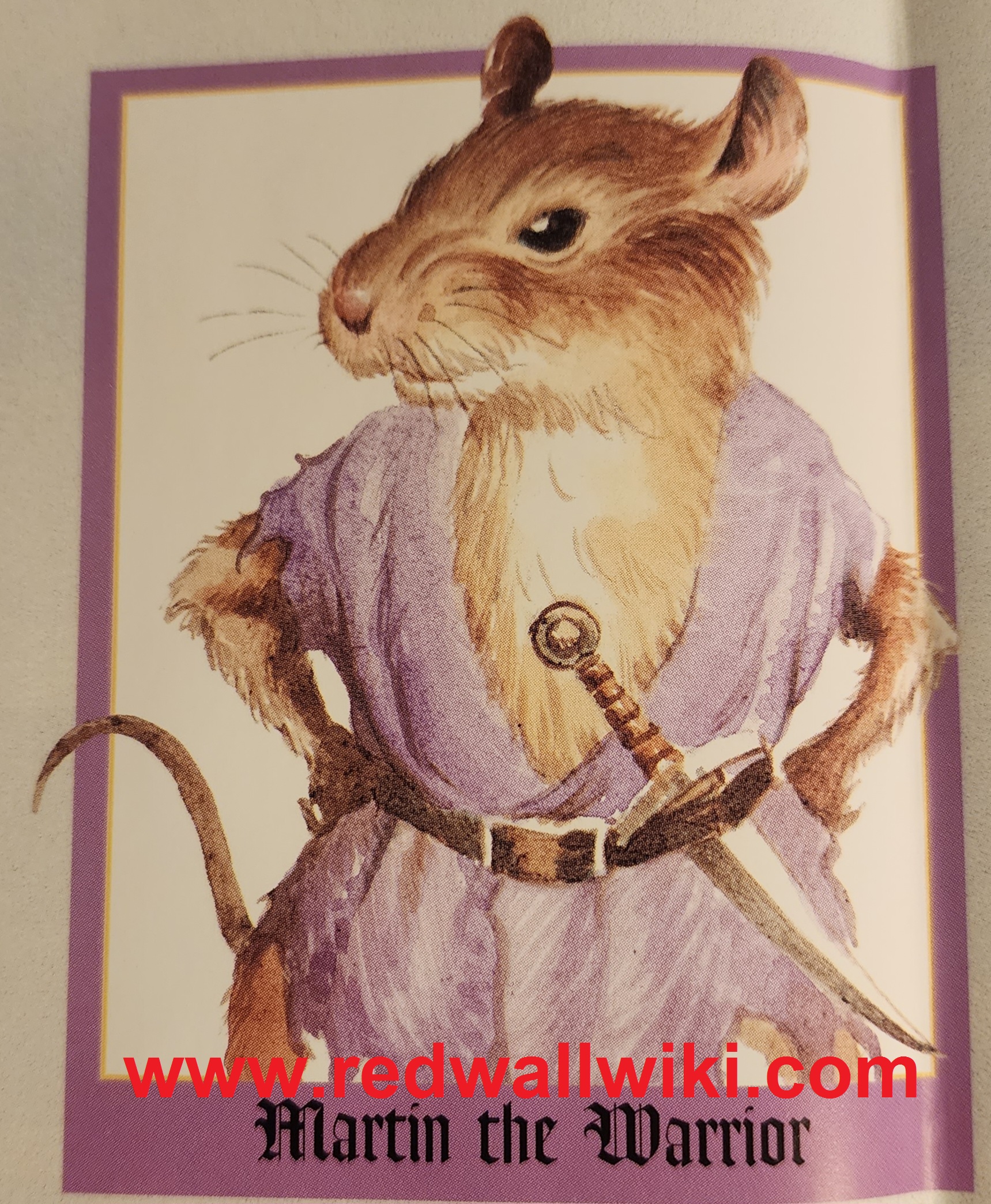 Martin the Warrior | Redwall Wiki | Brian Jacques and Redwall ...
