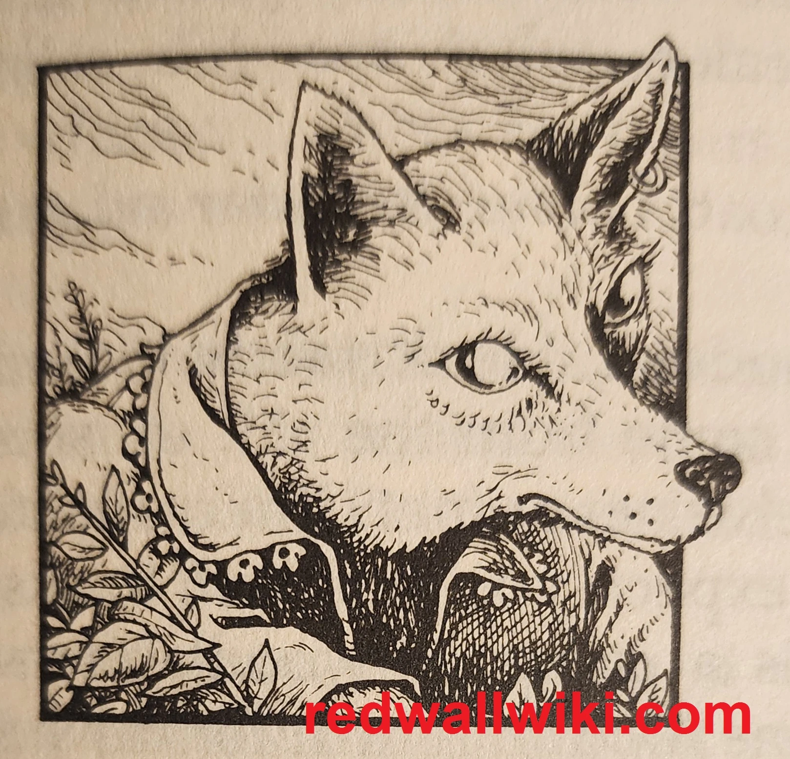 Fortunata | Redwall Wiki | Brian Jacques and Redwall Information | Fandom