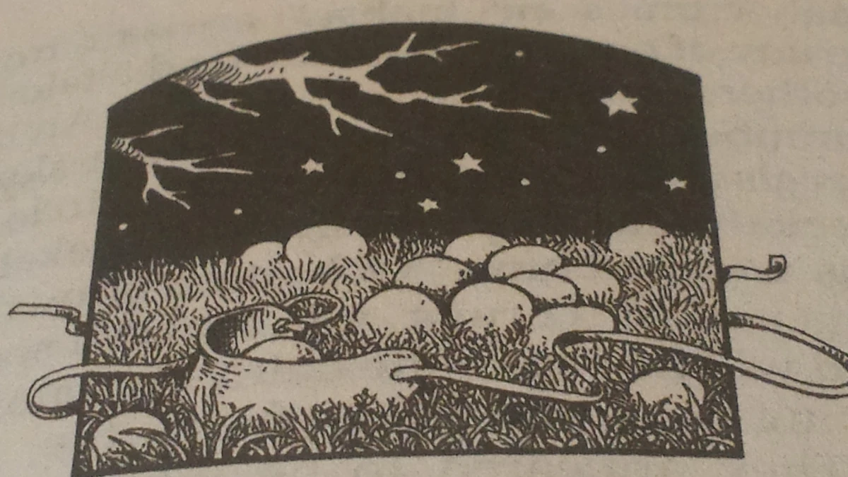 Sling | Redwall Wiki | Brian Jacques and Redwall Information | Fandom