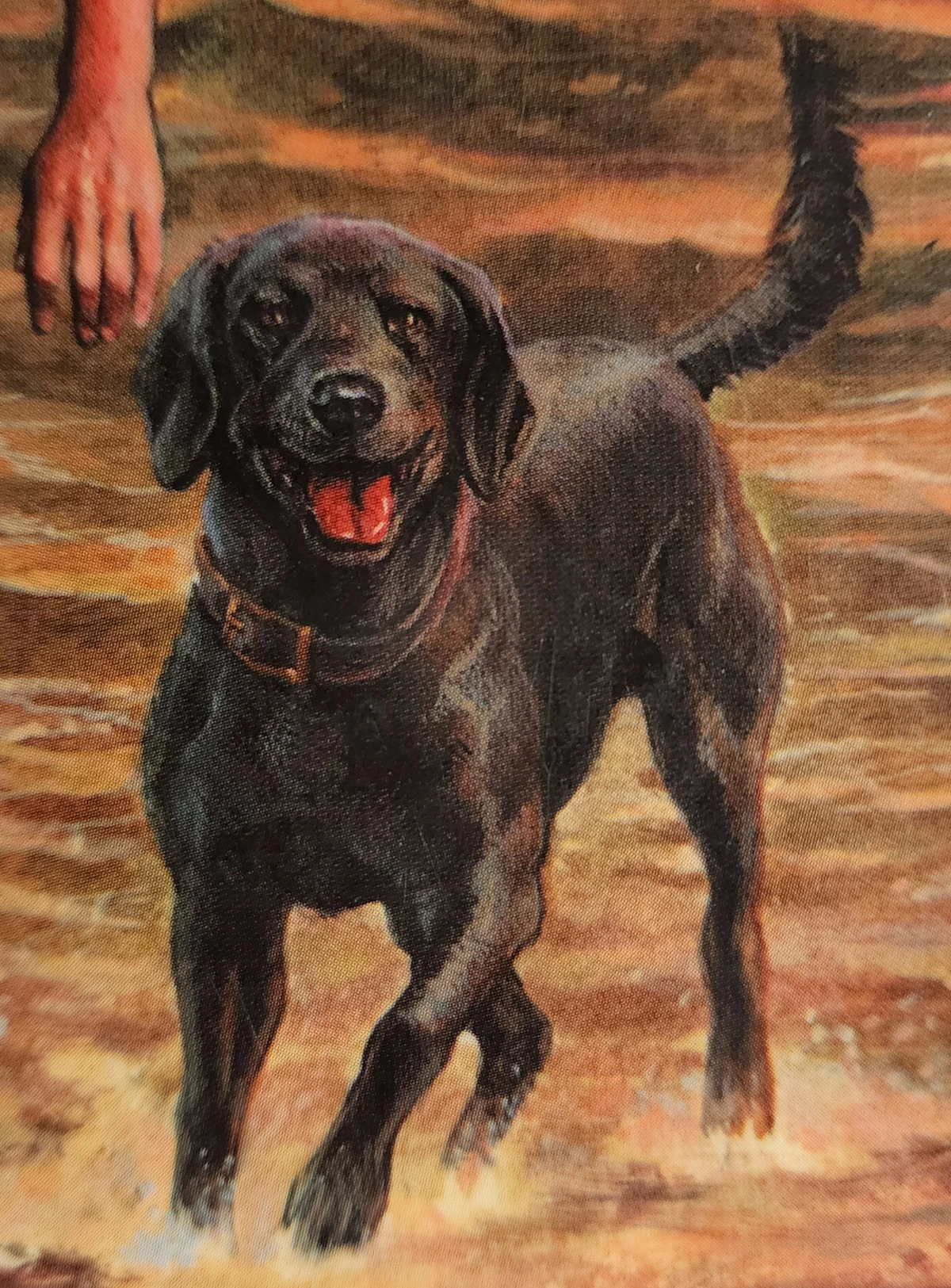 Denmark | Redwall Wiki | Brian Jacques and Redwall Information | Fandom