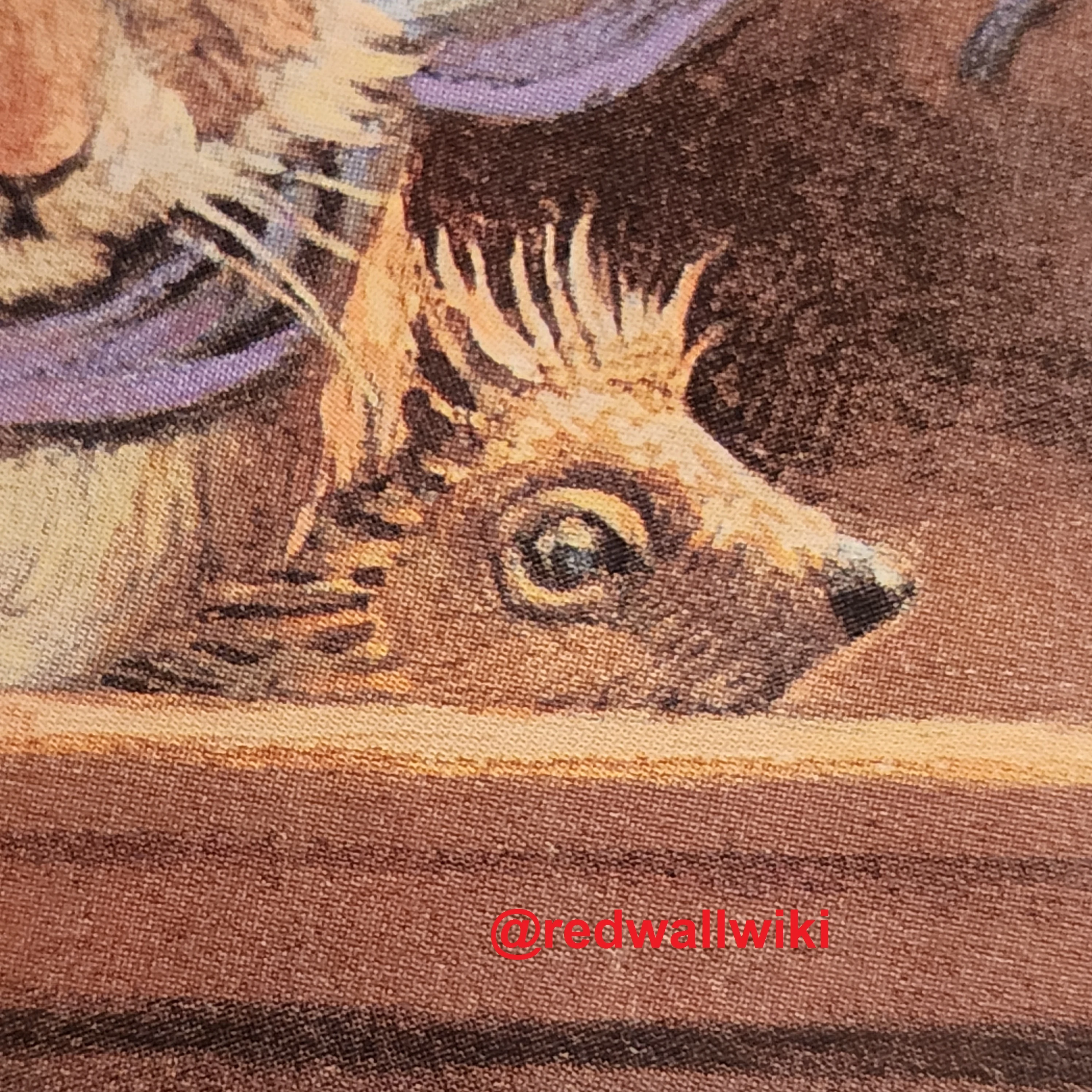 Category:Hedgehogs | Redwall Wiki | Brian Jacques and Redwall ...