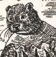 Flagg | Redwall Wiki | Brian Jacques and Redwall Information | Fandom