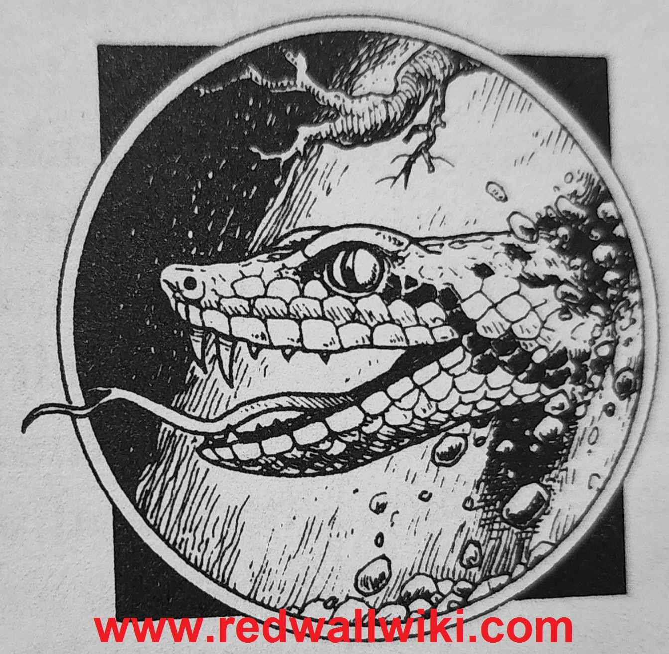 Asmodeus Poisonteeth | Redwall Wiki | Brian Jacques and Redwall ...